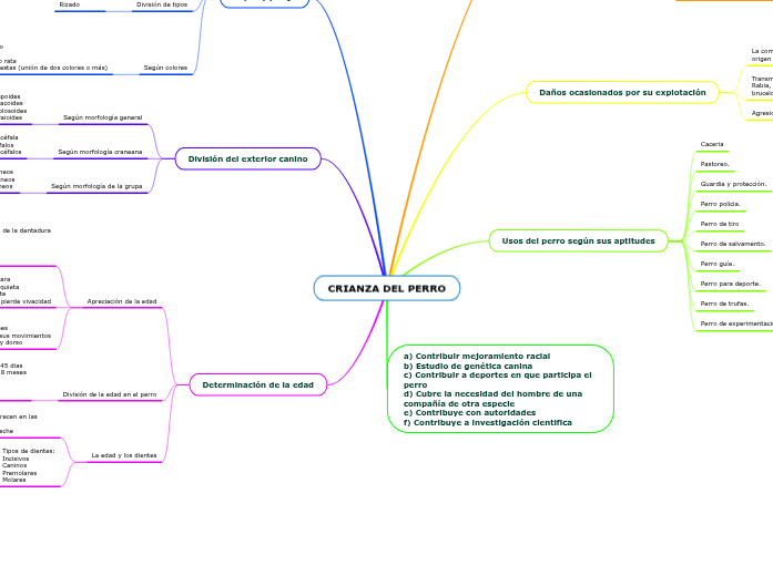 CRIANZA DEL PERRO - Mind Map